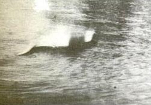 Loch Ness Monster Revisited: The 1933 Hugh Gray Photo