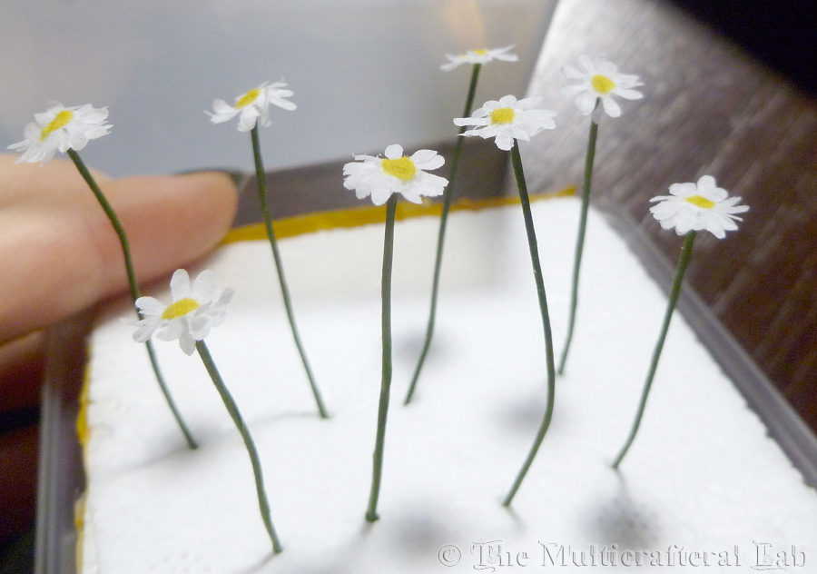 The Multicrafteral Lab: Miniature daisies/chrysanthemums tutorial