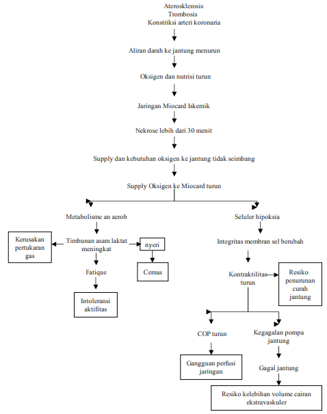 Asuhan Keperawatan Akut Miokard Infark (AMI)