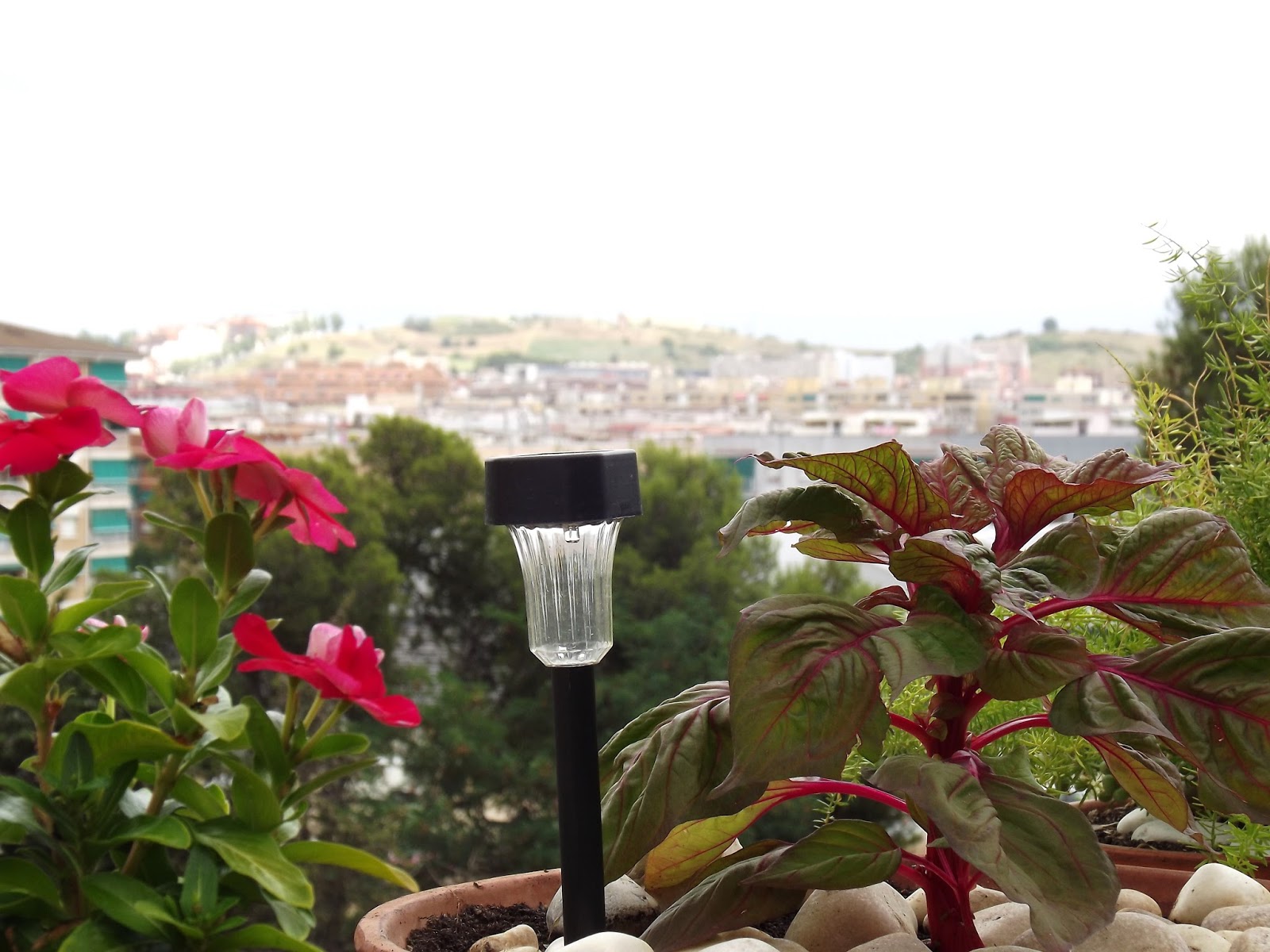 Un vergel en la ciudad: La planta de La Marquesa...