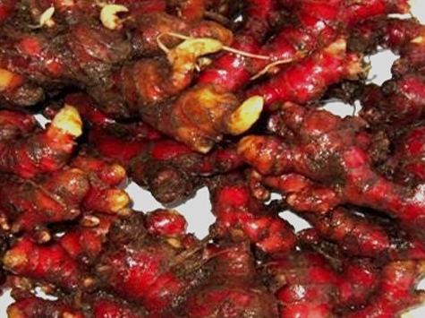 Mengenal Jenis jenis Jahe dan Manfaat Jahe - GEMA PERTANIAN