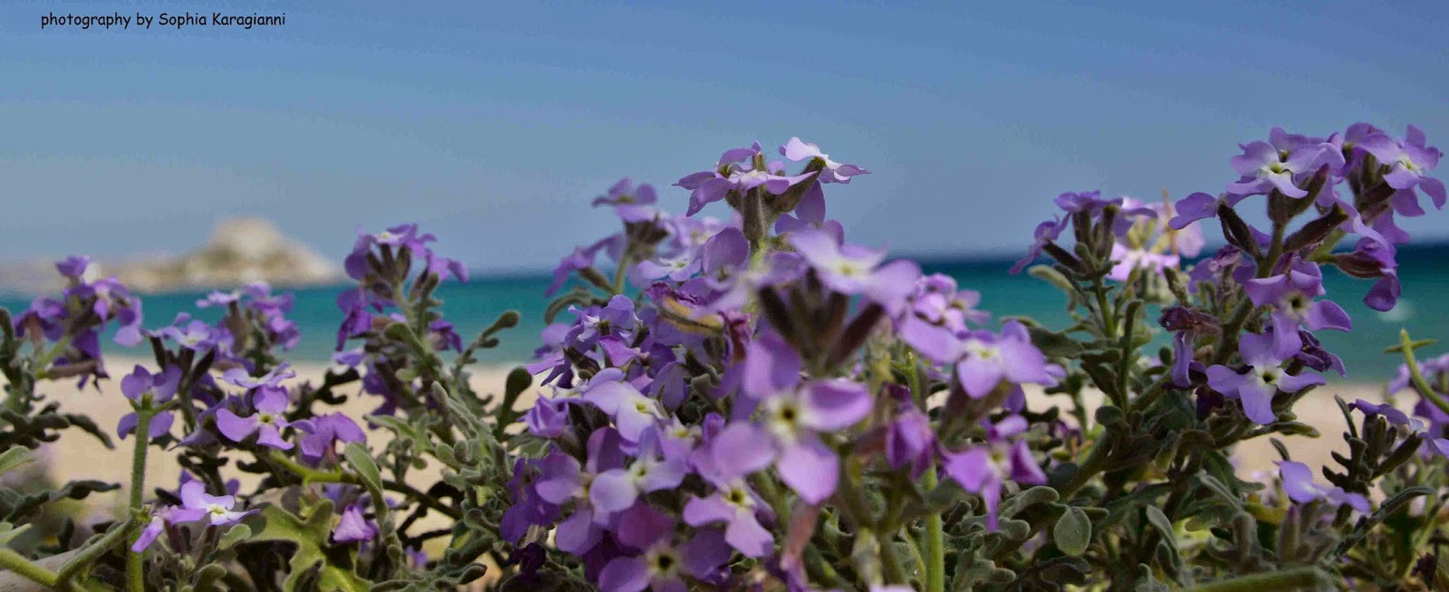 Kos and the Dodecanese through my eyes-Η Κως και τα γύρω νησιά μέσα από ...