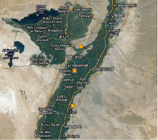 Portable Antiquity Collecting and Heritage Issues: Egypt: Minister of ...