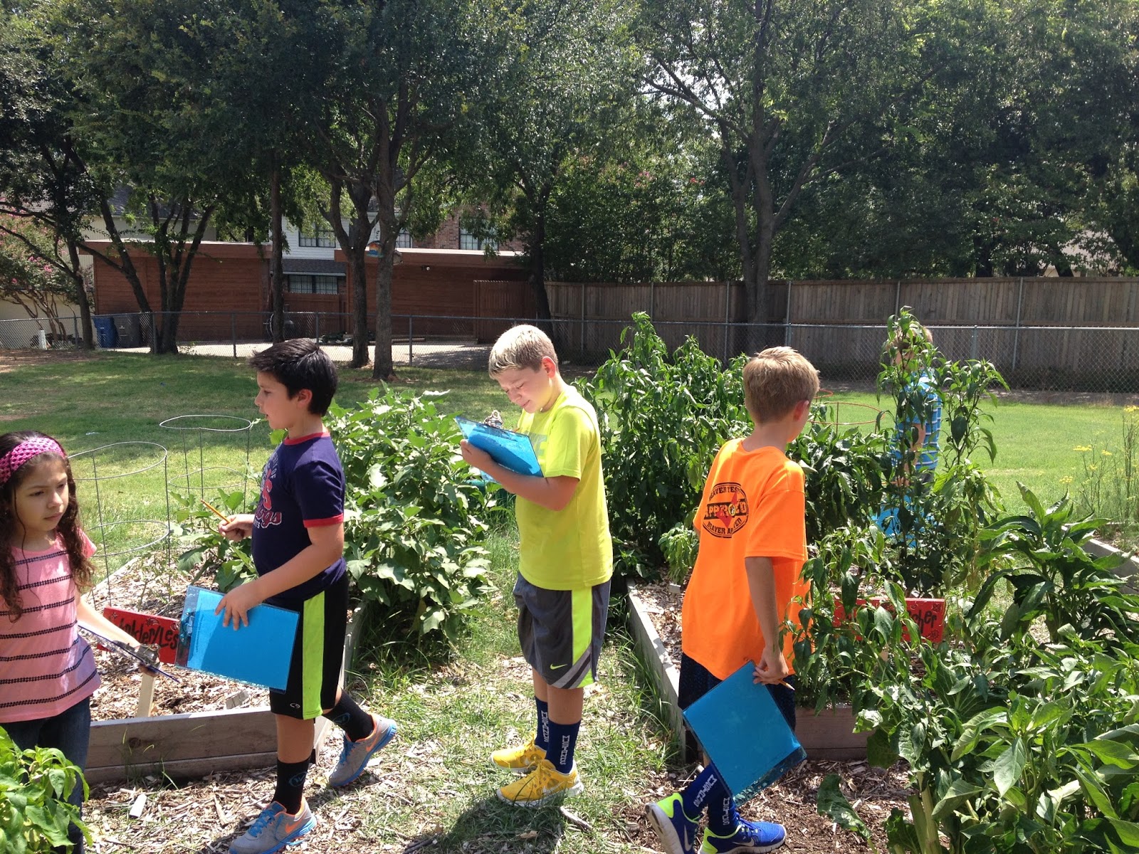 Moss Haven Farm: Back To School - Back To Farm Learning