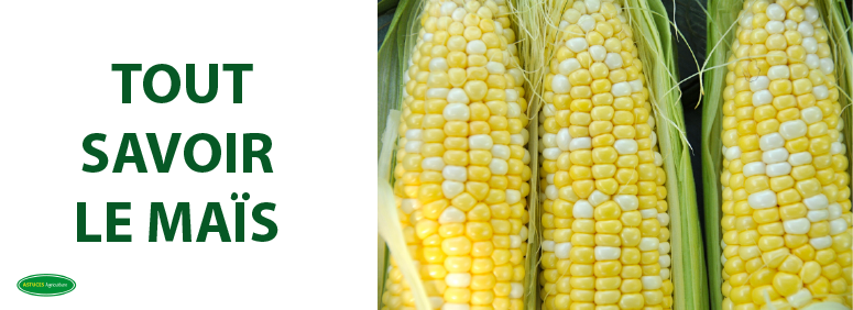 janvier 2014 ~ ASTUCES AGRICULTURE