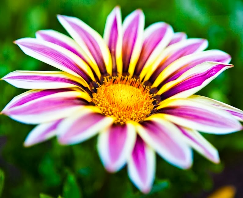 The Warehouse Church Cincinnati | Wednesday Word With Pastor Sadell Bradley