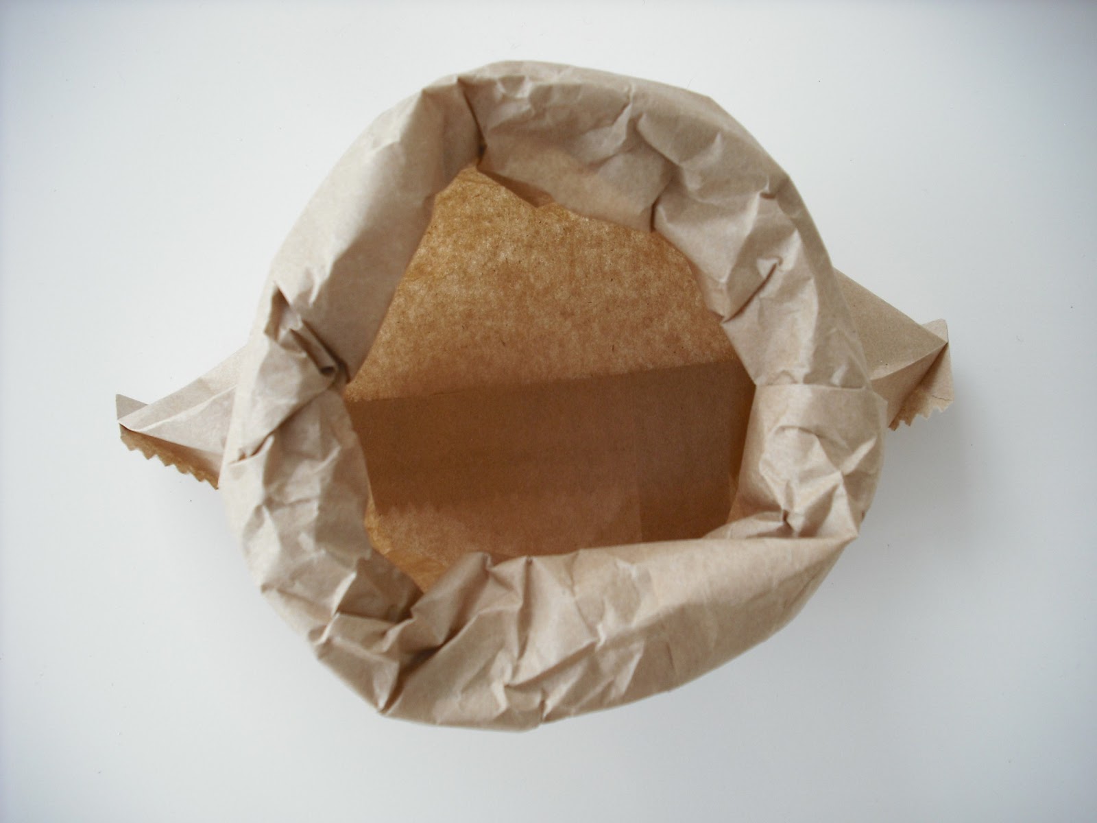 An idea on Tuesday: Paper Bag Nests
