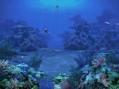 Landforms in the World: Coastal and Oceanic Landform (42. Sea )