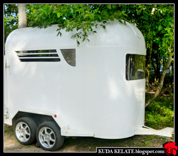 KUDA KELATE: Float Kuda Kelate