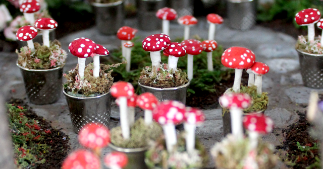 Pixie Hill: Toadstool Thimble Gardens