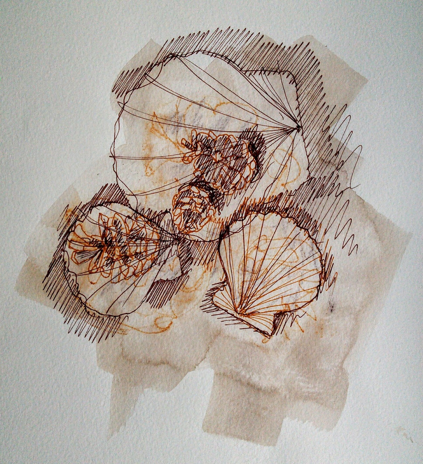 Create A Drawing A Day: Shells drew round!