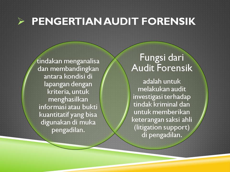 Presentasi Audit Forensik