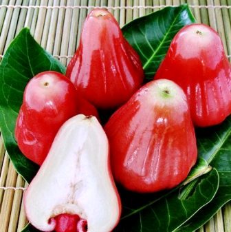 Reflections & Travels with Ronaldo and +Daniel: Summer time memories ...