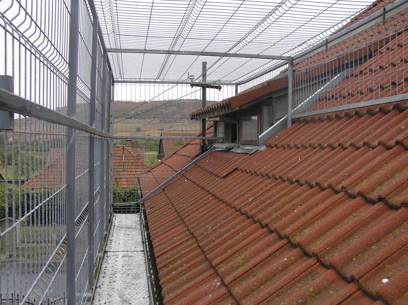 Sputnik pentru crescătorie in podul casei – Porumbei.ro