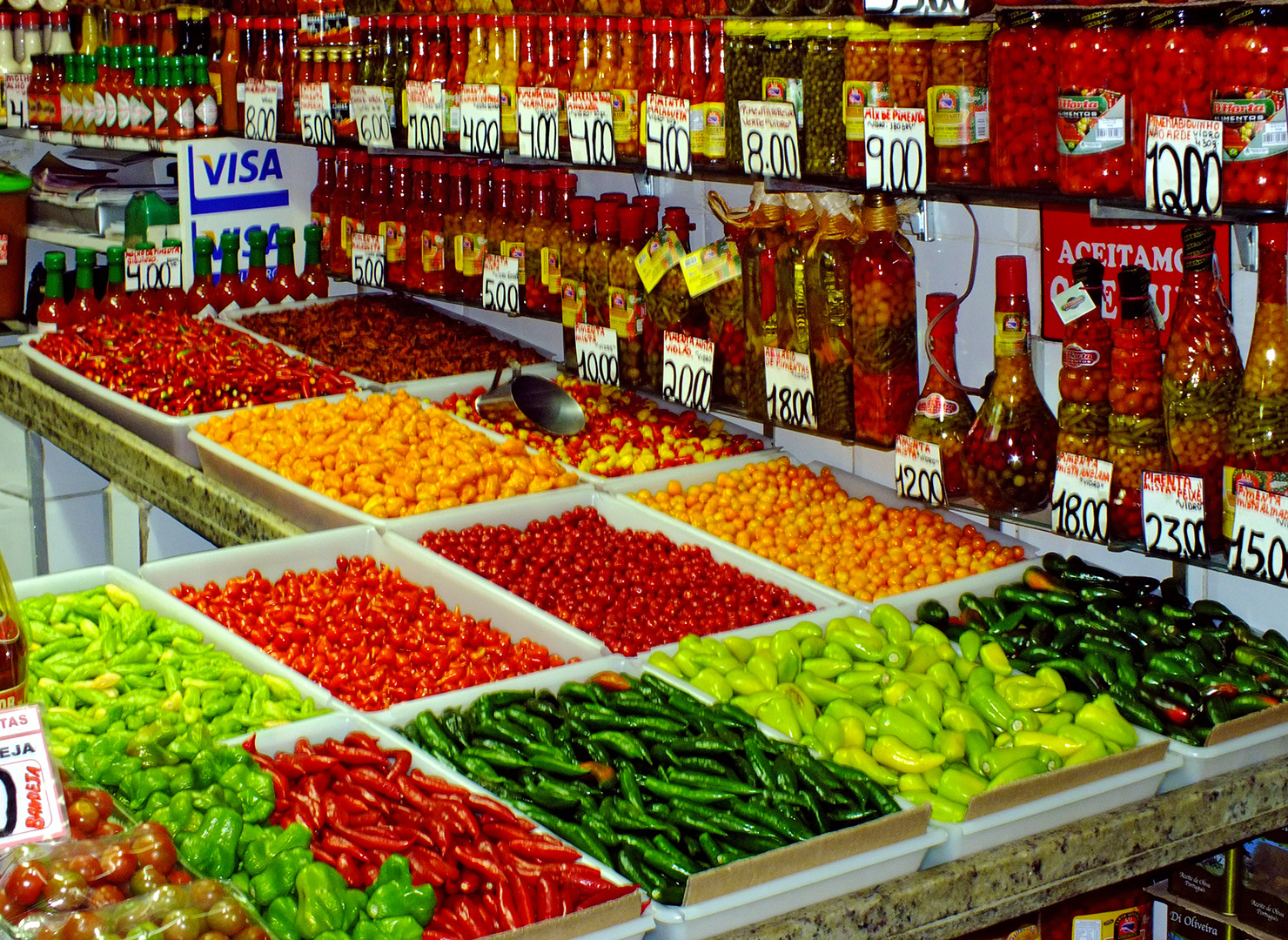 TEMPEROS - AROMAS E SABORES ~ PALADINI CHEF GOURMET