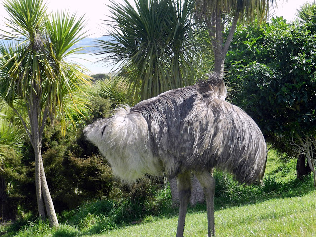 The Paddock: September 2012