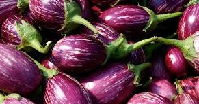 Brinjal