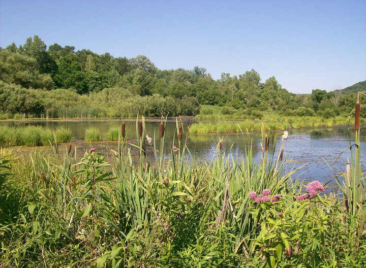 Kickapoo Valley Reserve