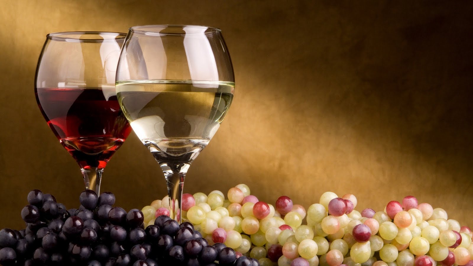 Women & Wine Study: Sun, Fun & Wine Saturday!