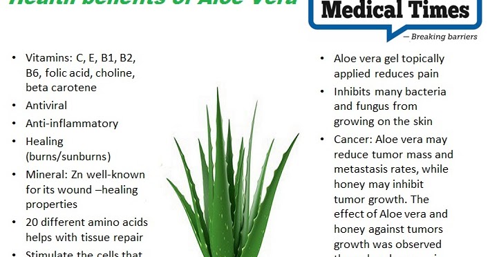 Drug Today Medical Times: Surprising and Powerful Benefits of Aloe Vera ...