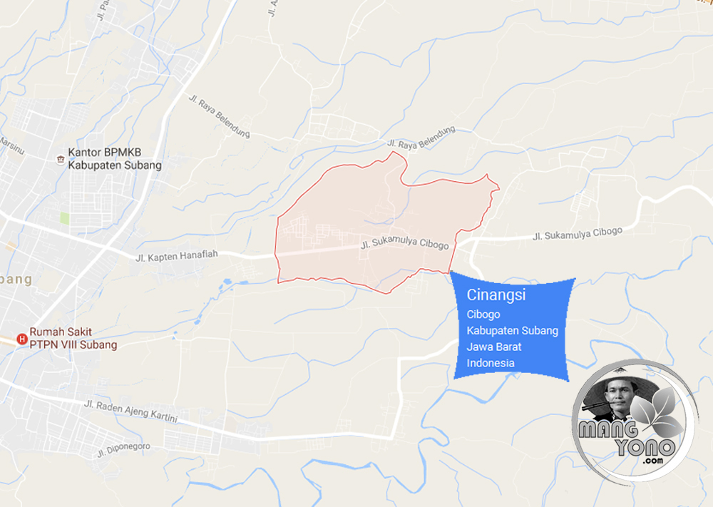 Desa Cinangsi, Kecamatan Cibogo