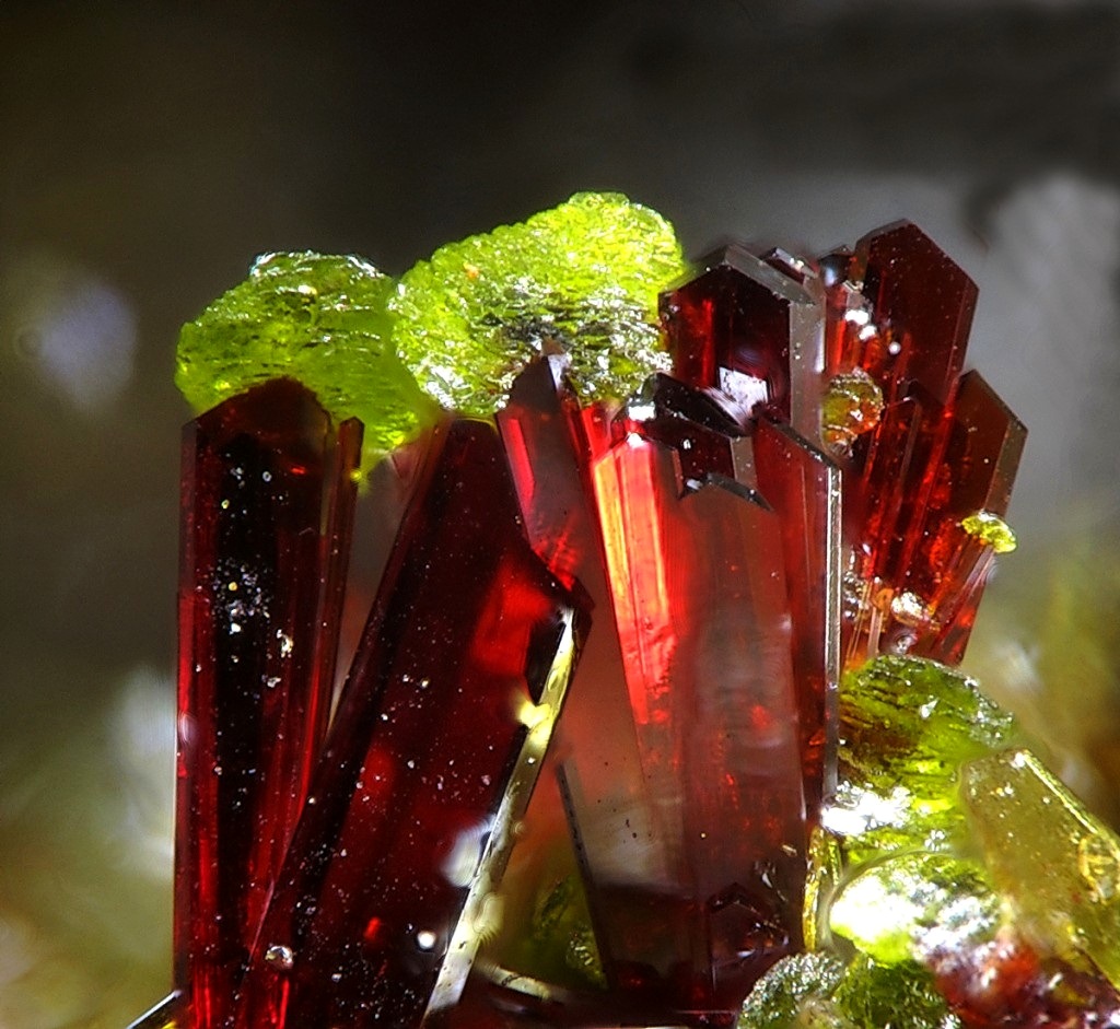 Superb Crystals of Gartrellite on Carminite - Geology In
