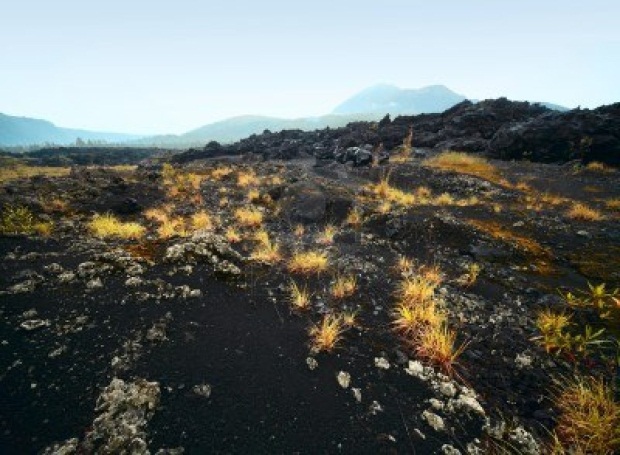 Ayuputrinedo: Jenis-jenis Tanah di Indonesia