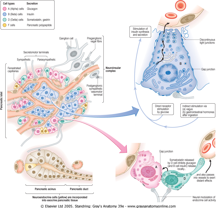 science for life: Adrenal Glands, Pancreas and Local Hormones.