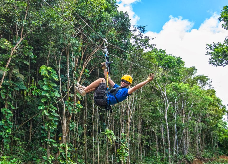 Tree Limin' Extreme: 5 Reasons to Visit the US Virgin Islands