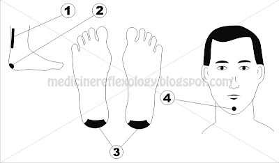 MedicineReflexology massage therapy and natural medicine: Point ...