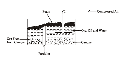 Diagram Of Froth Flotation Process Draw The Diagram Showing
