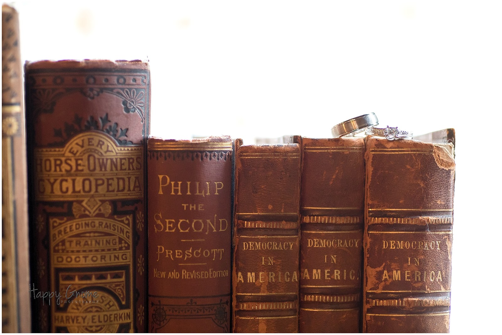 A Pabst Mansion Milwaukee Wedding // Leah and Chris // Happy Gnome ...