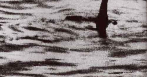 The Outside Matters: Lake Monsters; a Worldwide Phenomenon