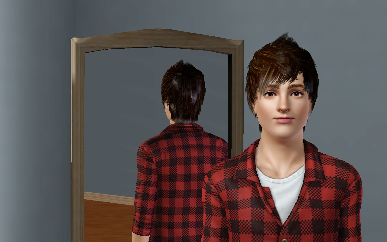 One Direction Sims 3 Project | nekohebi sims