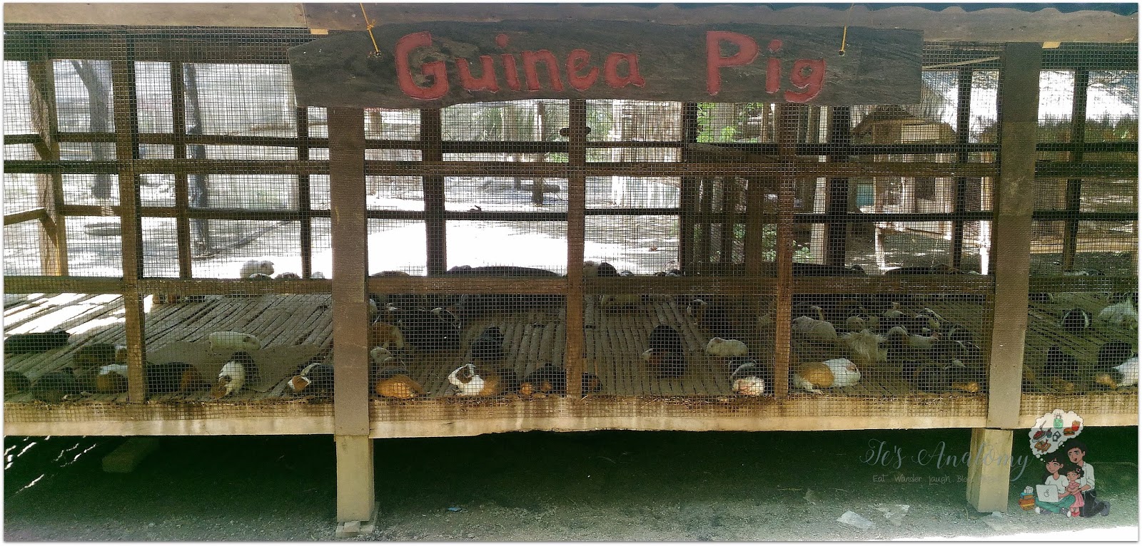 The Fun Farm at Sta. Elena - jE's AnAtOmY