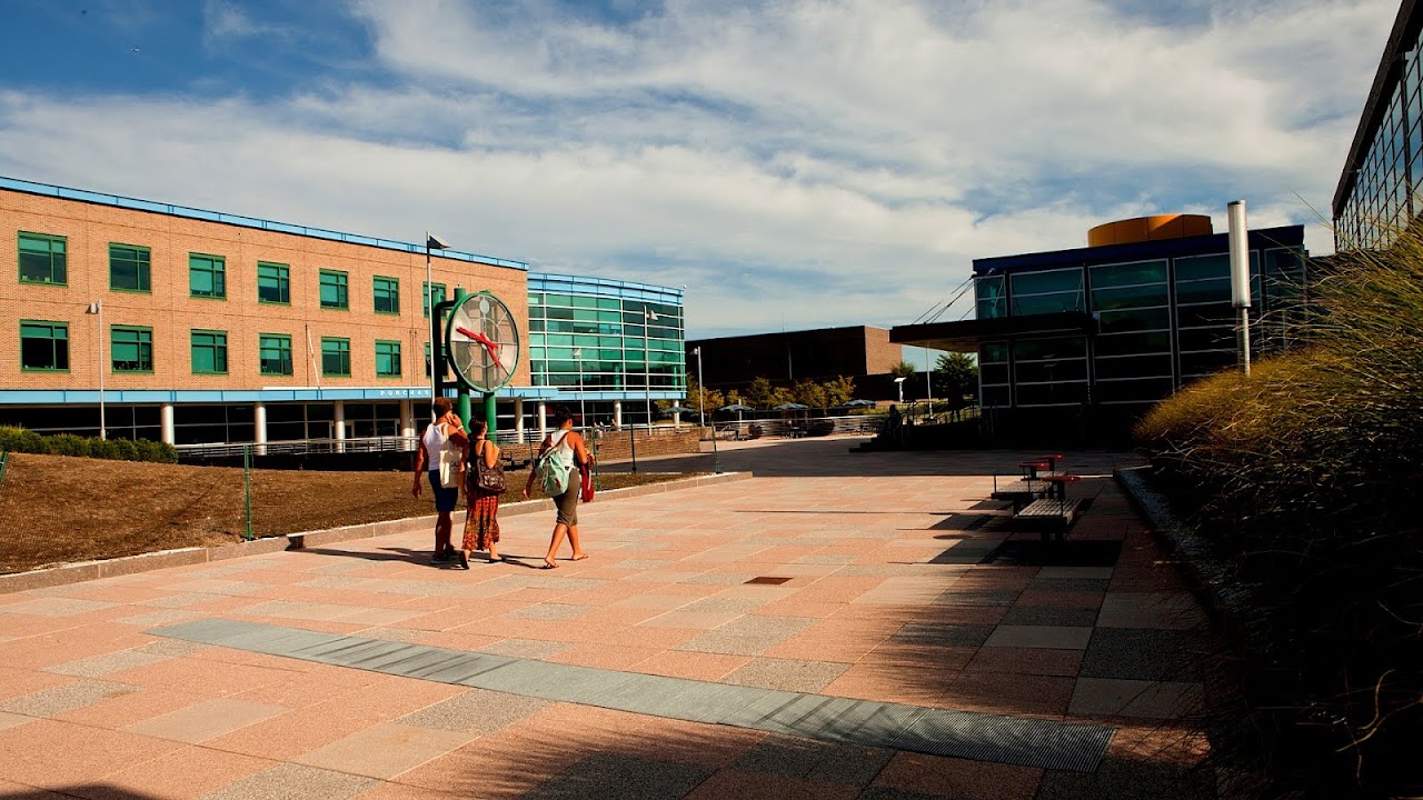 State University of New York at Purchase College - College Choices