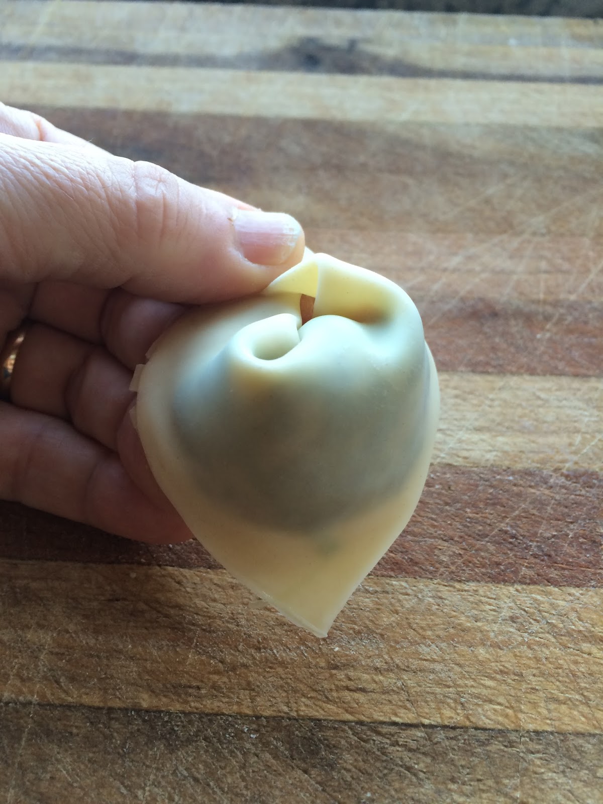 Fried Hun Tun (Won Tons)