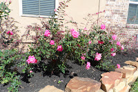 Janette Fuller: Book Review: Neil Sperry's Complete Guide to Texas ...