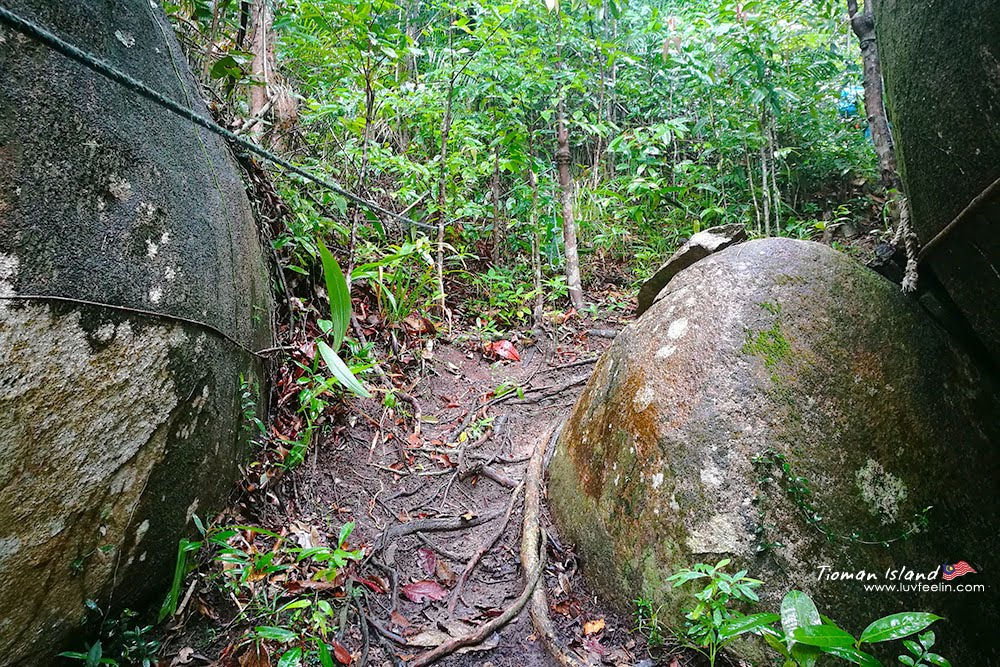 Kampung Asah Waterfall of Tioman Island 徒步刁曼岛寻【甘榜阿沙瀑布】 - 乐飞翎 ♥ LUVFEELIN
