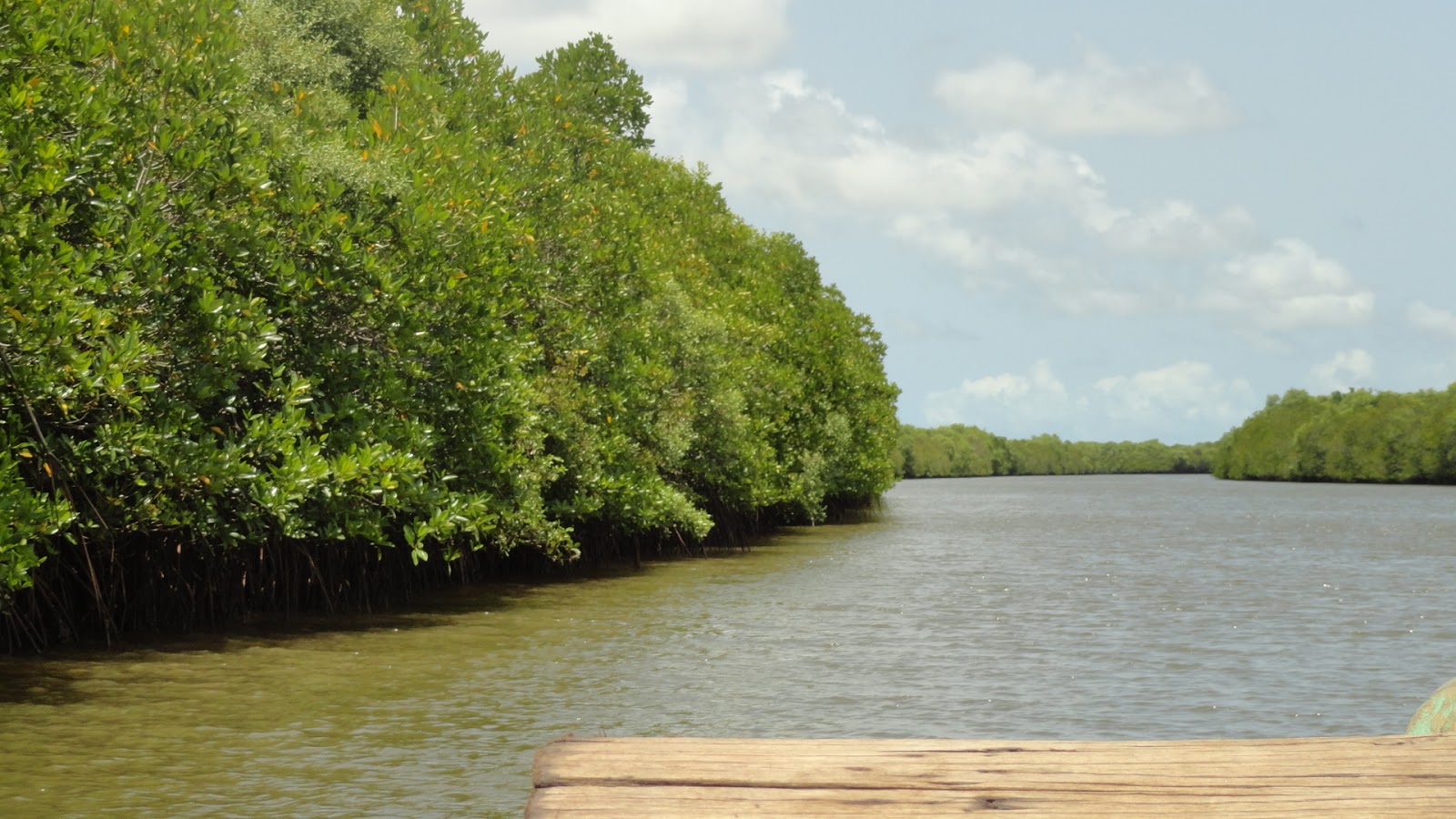 BIODIVERSITY RICHNESS