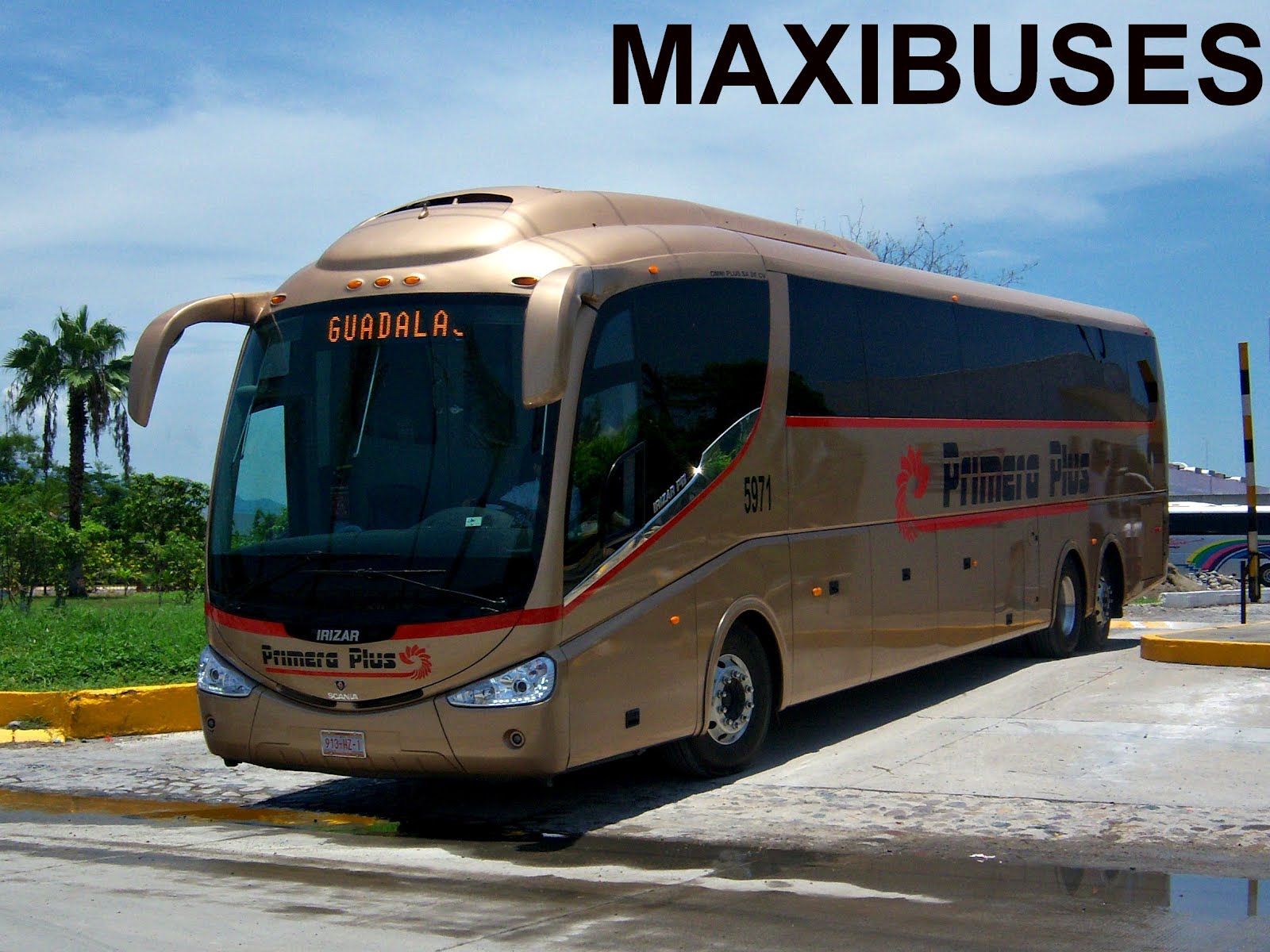 MAXIBUSES: PRIMERA PLUS