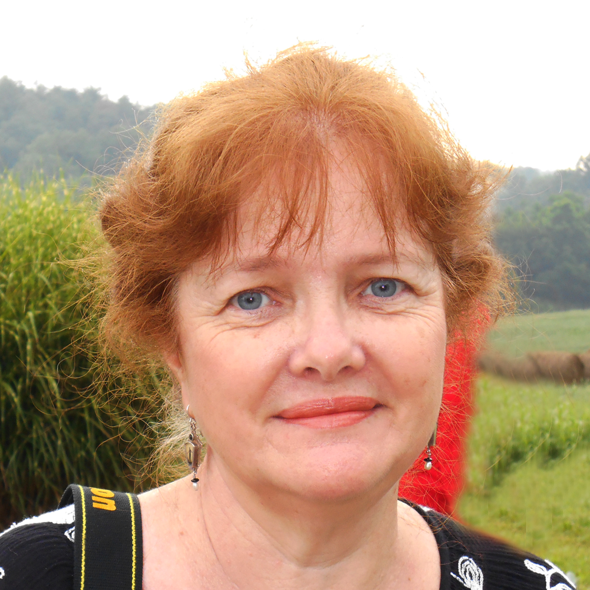 Artists Tell Their Stories: 2016 Artists Intros: 52 Artists in 52 Weeks