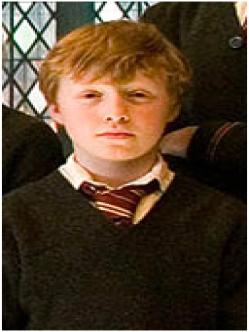 Mortifagos ( harry potter ) /♦♠☻Jose Felipe♦ ♠: Mortifagos Y Aurores