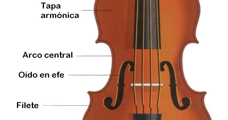 The Master of the Violin: Partes del Violin