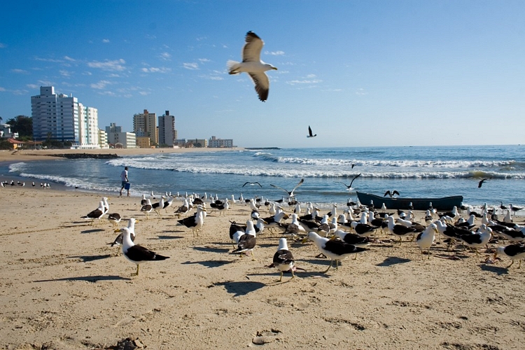 BARRA VELHA, NOSSO LUGAR COMUM: BARRA VELHA: O MELHOR LUGAR
