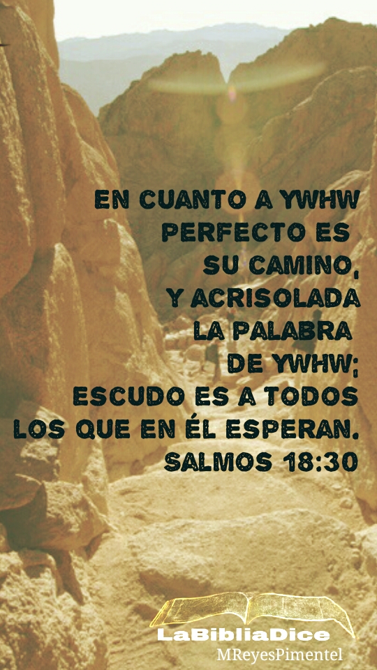 Salmos 18:30