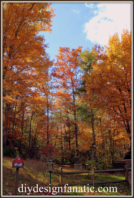 diy Design Fanatic: Looking Forward To Fall