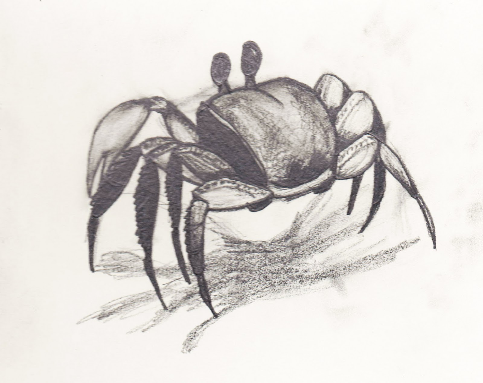 Pointsies: Crab Doodle