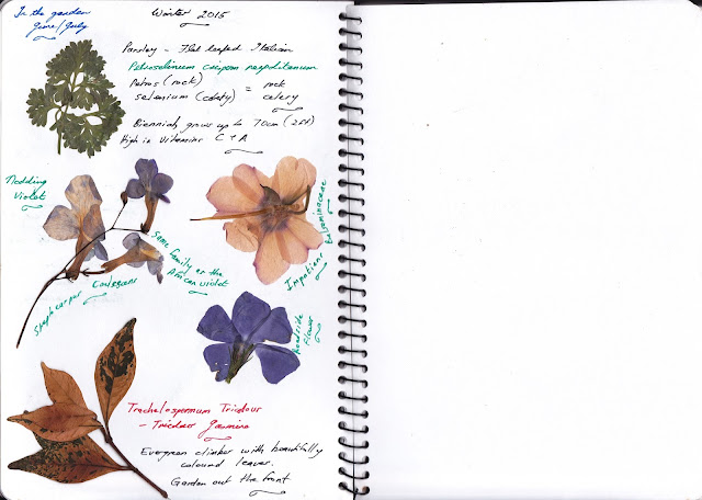 Journey and Destination: July 2015