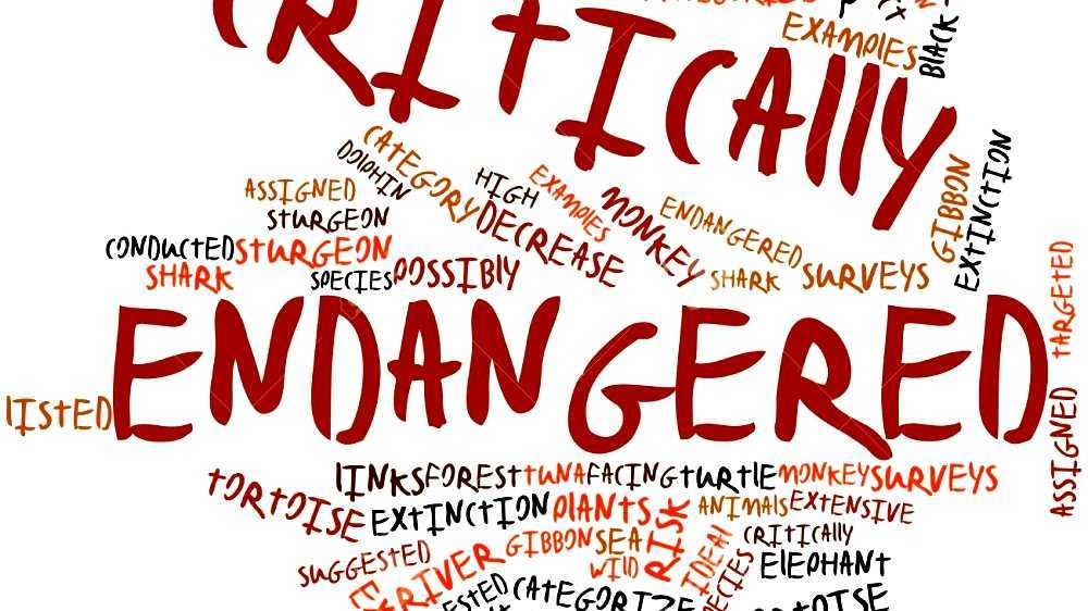 Critically endangered